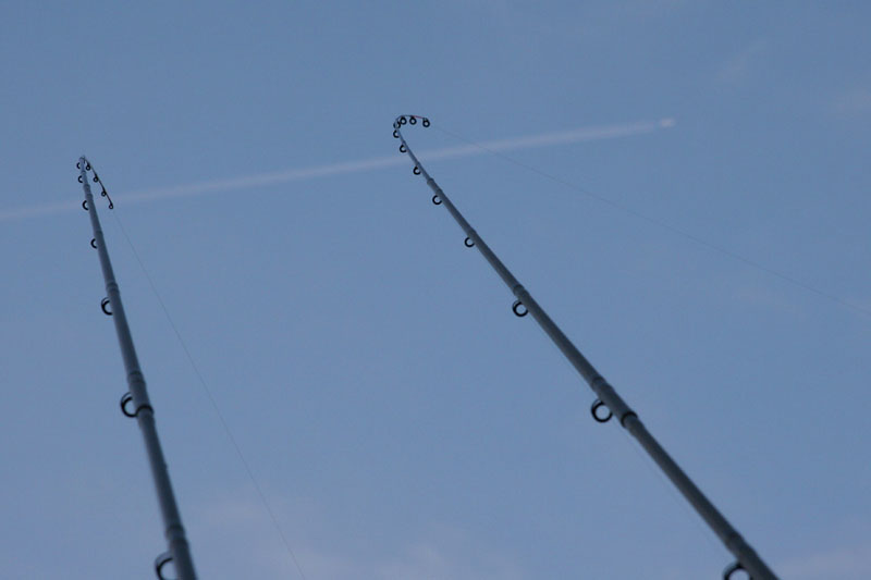 Základy feederu – Feeder a ostatní techniky - Chytej.cz